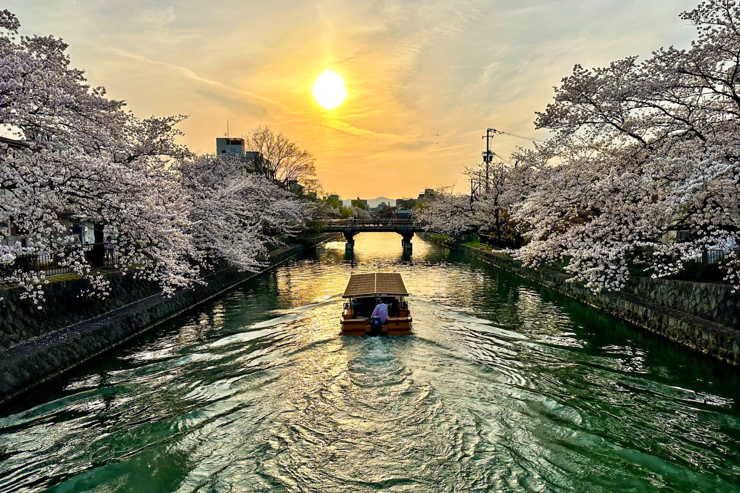 New AJapan Weather: Best Time To Visit