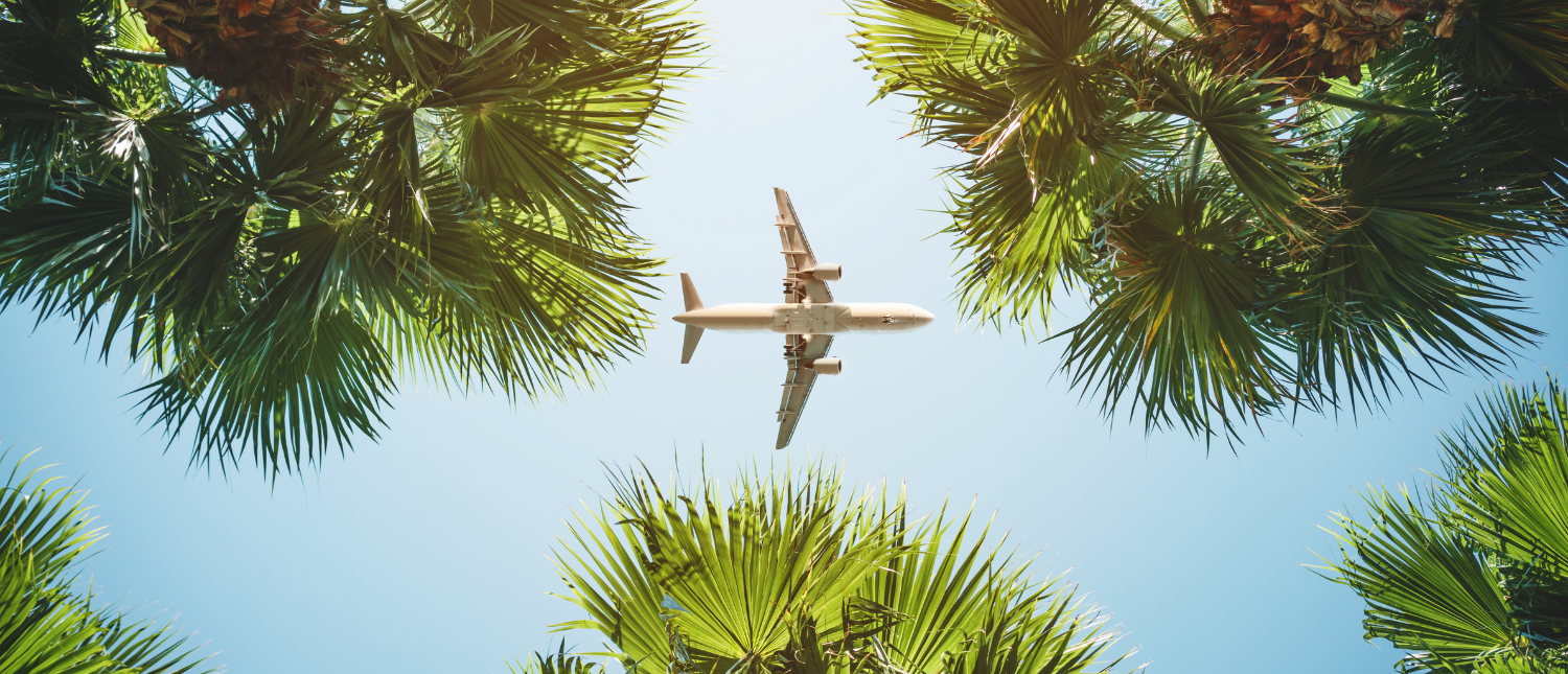 Arranging your flights